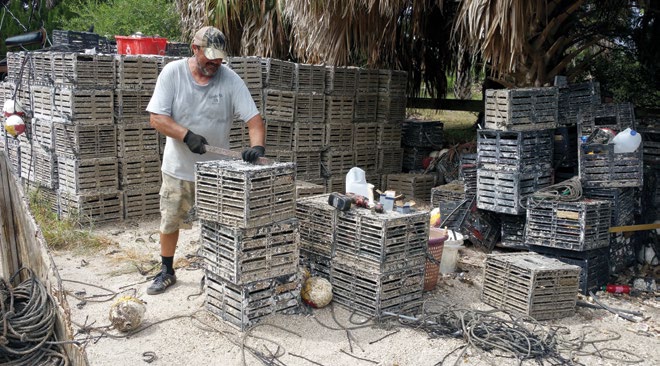 Commercial Shellfish Harvesting - Big Bend Shellfish Trail