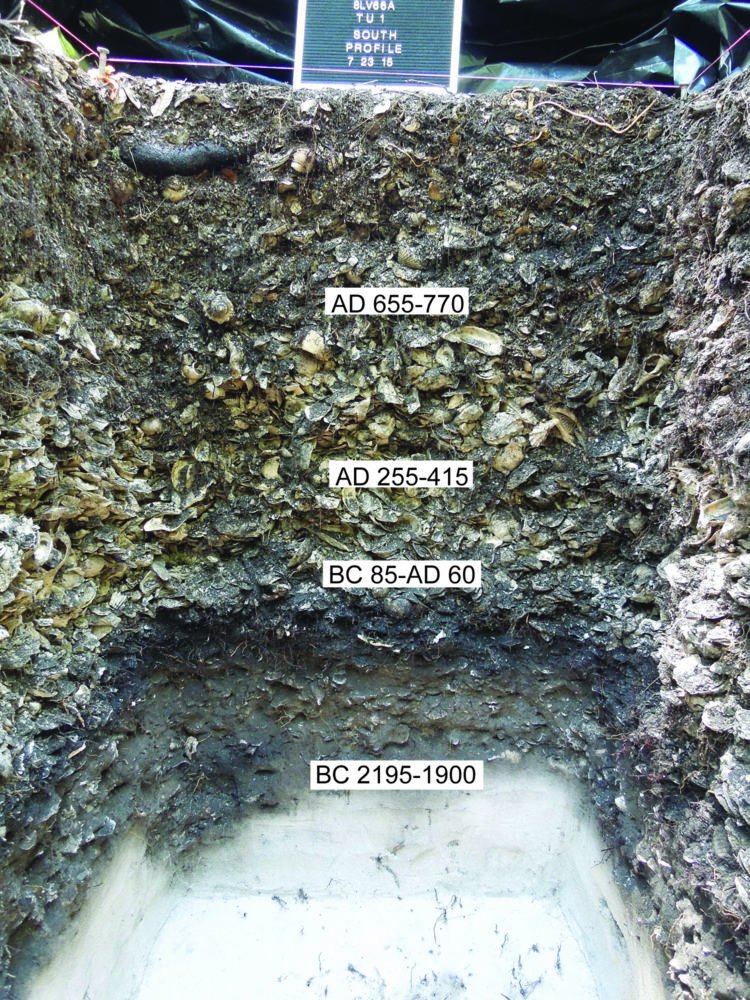 Ancient People - Big Bend Shellfish Trail