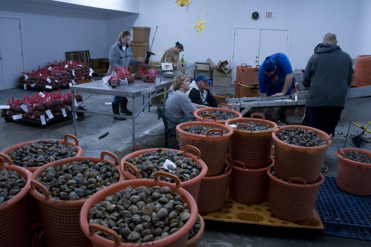 Shellfish Industry - Big Bend Shellfish Trail