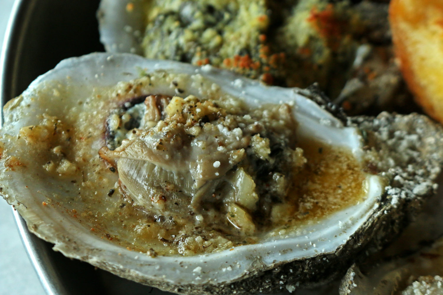 Harvesting and Cooking Shellfish - Big Bend Shellfish Trail