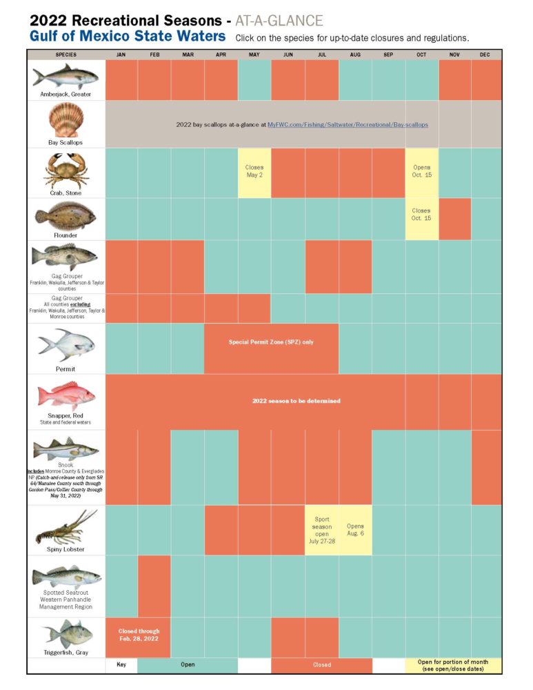 Recreational Harvesting of Shellfish - Big Bend Shellfish Trail