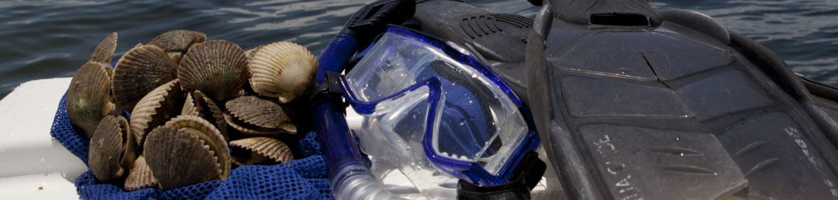 Clean Waters, Safe Shellfish - Big Bend Shellfish Trail